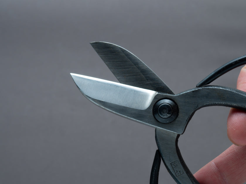 Morihei - Kisaku - Koryu Pruning Shears - 165mm (#82) – Strata